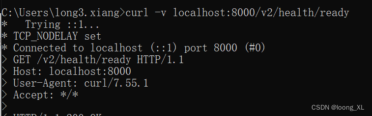 Triton 模型推理使用案例、tritonclient https，grpc访问；导出onnx指定输入维度可变dynamic_axes_triton client_loong_XL的博客 ...