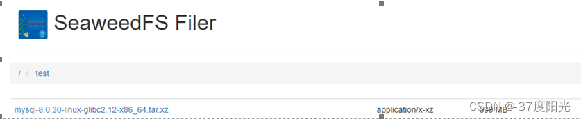SeaWeedFS安装以及部署，以及master模式和filer模式的介绍_seaweedfs filer-CSDN博客