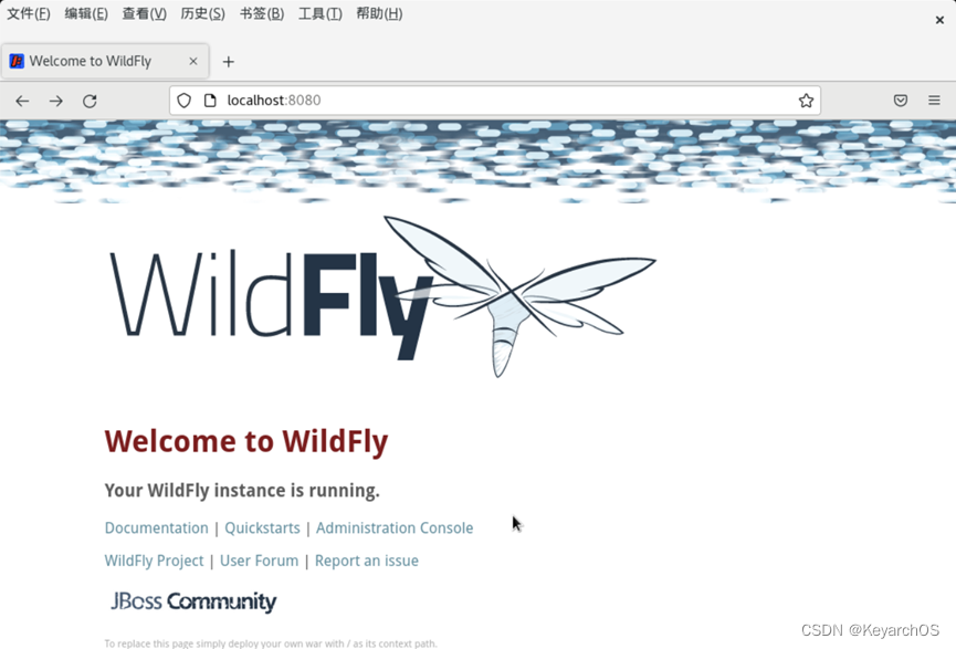 KeyarchOS(KOS)安装 WildFly_浪潮kos操作系统-CSDN博客