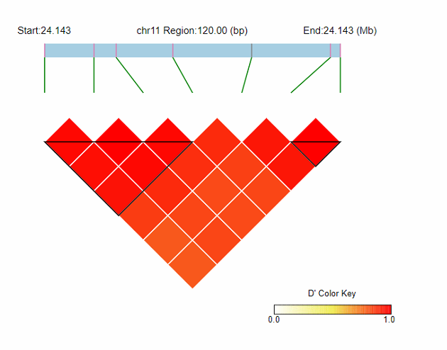 LDblock绘制连锁不平衡和单体型图_ldblockshow-CSDN博客