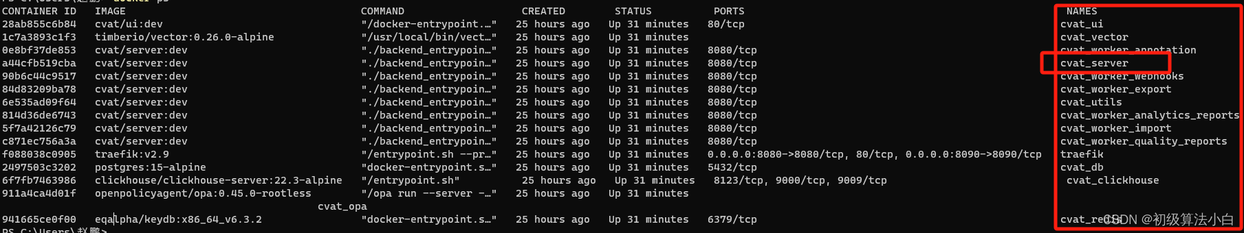 Windows下Docker部署cvat详细过程_error response from daemon: no such container: cva-CSDN博客