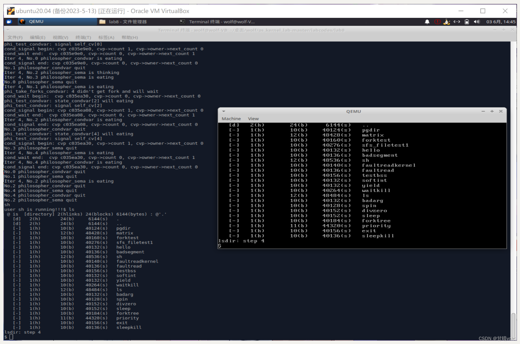 【已弃用】HNU-操作系统OS-实验Lab8-CSDN博客