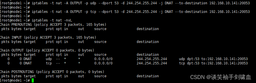基于k8s搭建DNS服务器，并配置客户端（DNS端口非53）_dns端口不是53-CSDN博客