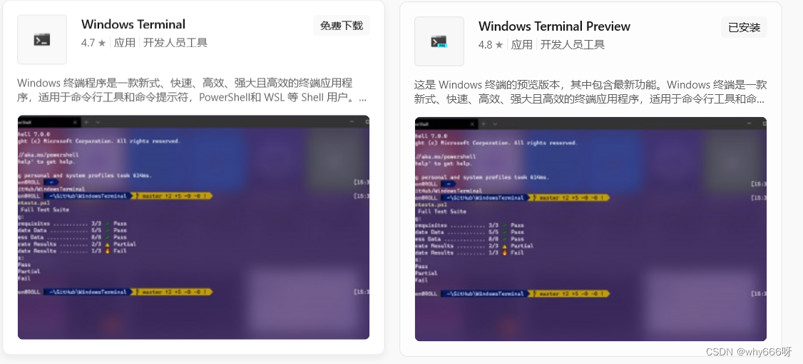 Windows Terminal下载 美化 Conda显示问题oh My Posh 支持 Conda Csdn博客 