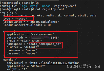 seata安装【使用Docker安装seata】-CSDN博客