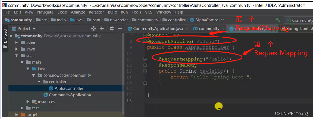 RequestMapping_@requestmapping括号没有浏览器标志-CSDN博客