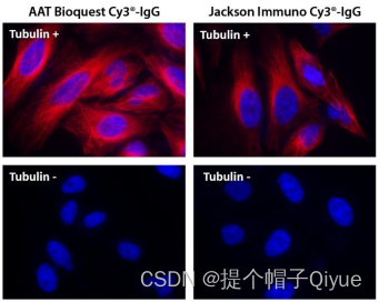 氰3荧光染料Cy3 NHS酯，CAS 146368-16-3的结构式及物化性质_nhs酯结构式-CSDN博客
