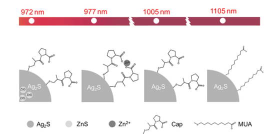 Ag2S QDs，硒化银量子Ag2Se QDs（近红外二区荧光量子点）-CSDN博客