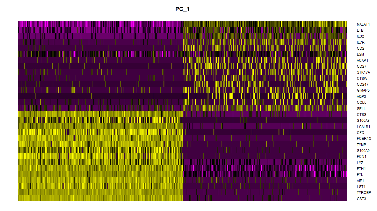 生信入门（六）——单细胞分析（Seurat）-CSDN博客