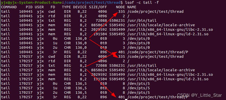 Linux下lsof命令的用法_linux的lsof命令用法-CSDN博客