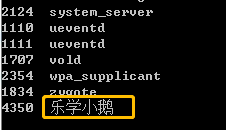 frida注入进程报错Failed to spawn: unable to find application with identifier的一种解决思路_failed to spawn ...