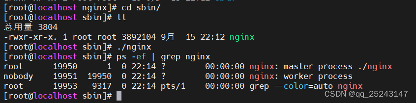 Nginx-CSDN博客