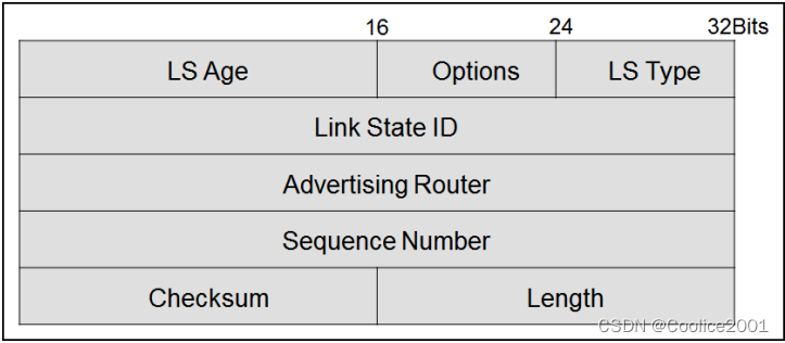 LSA头部报文格式_lsa 标头-CSDN博客