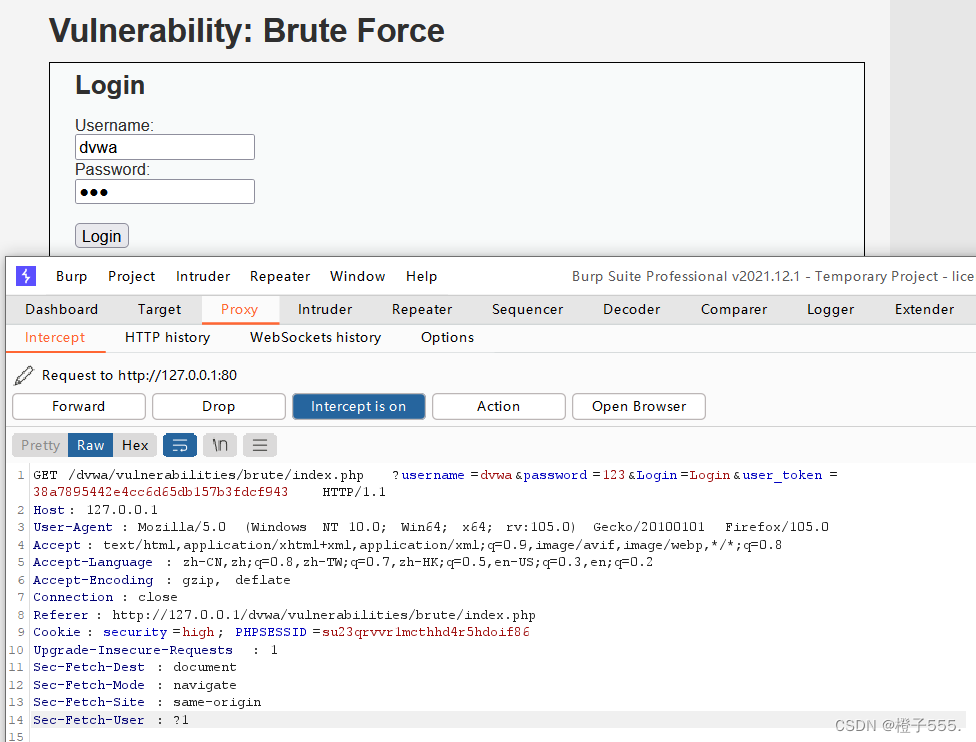 DVWA------Brute Force（暴力破解）_dvwa brute force-CSDN博客