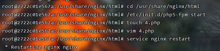 Nginx文件解析漏洞_nginx1.14漏洞-CSDN博客