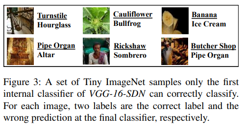 Shallow-Deep Networks: Understanding and Mitigating Network Overthinking-CSDN博客