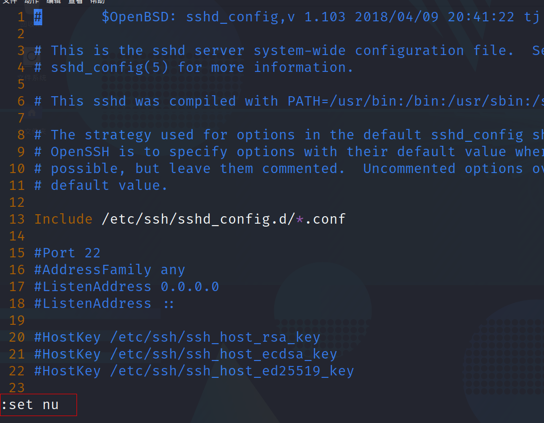 【kali技巧】kali配置ssh服务_kali重置ssh-CSDN博客