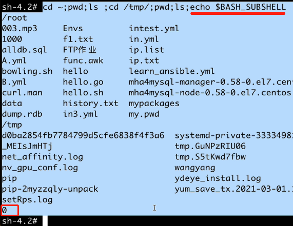 SHELL编程_shell编程-csdn-CSDN博客