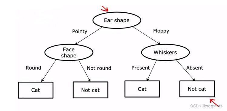 【吴恩达机器学习笔记】Part2-Week4（上） 决策树（Decision Trees）_决策树 吴恩达-CSDN博客