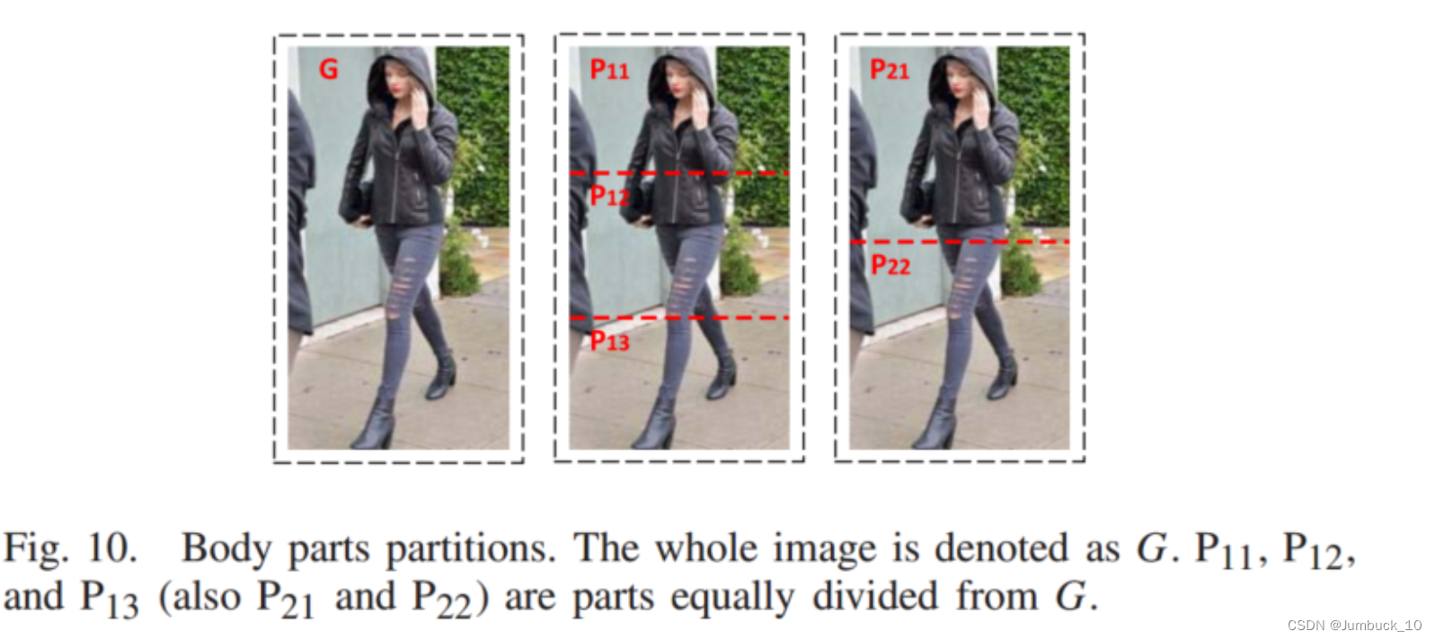 【读论文】（换装行人重识别）超标量神经元：采用矢量神经元胶囊实现”长周期“的行人重识别【有自己的实践比如加了超像素随机擦除】_换衣行人重识别 ...