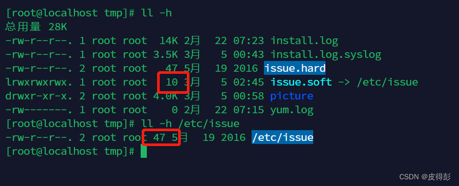 【linux命令】ln-CSDN博客