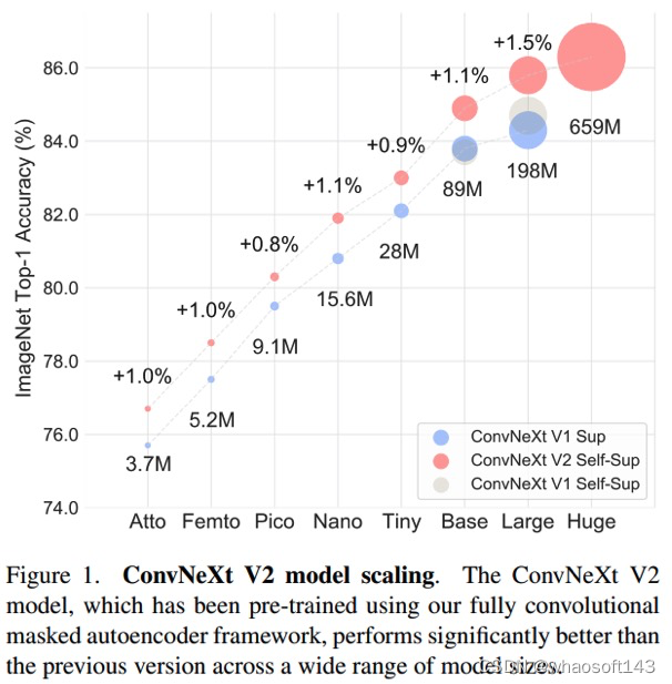 ConvNeXtV2_convnextv2 预训练-CSDN博客