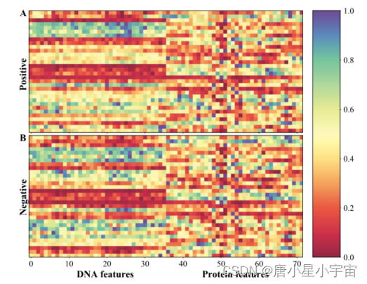 PHIAF：使用基于 GAN 的数据增强和序列的特征融合预测噬菌体-宿主相互作用_phiaf: prediction of phage-host interactions with -CSDN博客