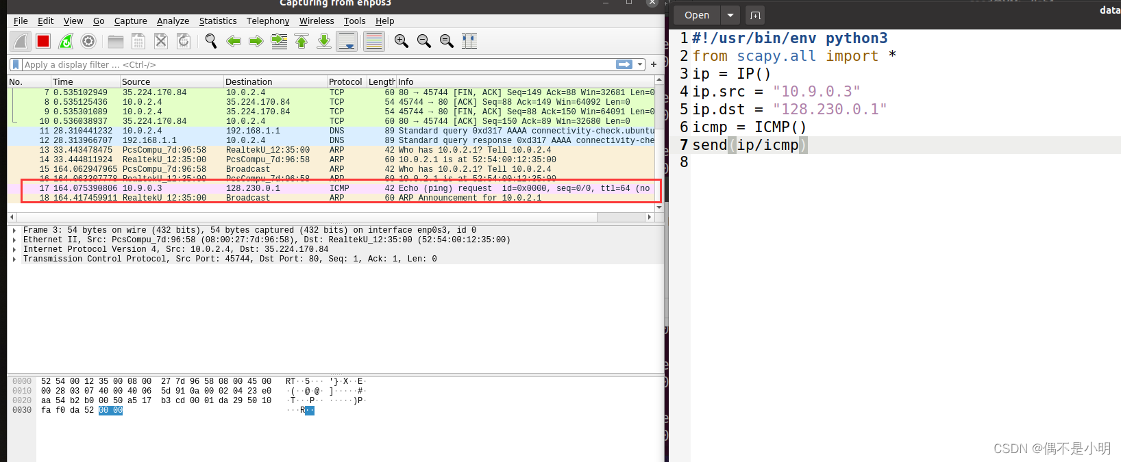 Lab1 Packet Sniffing and Spoofing Lab-CSDN博客