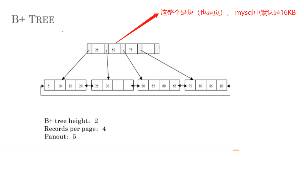Mysql B+树-CSDN博客