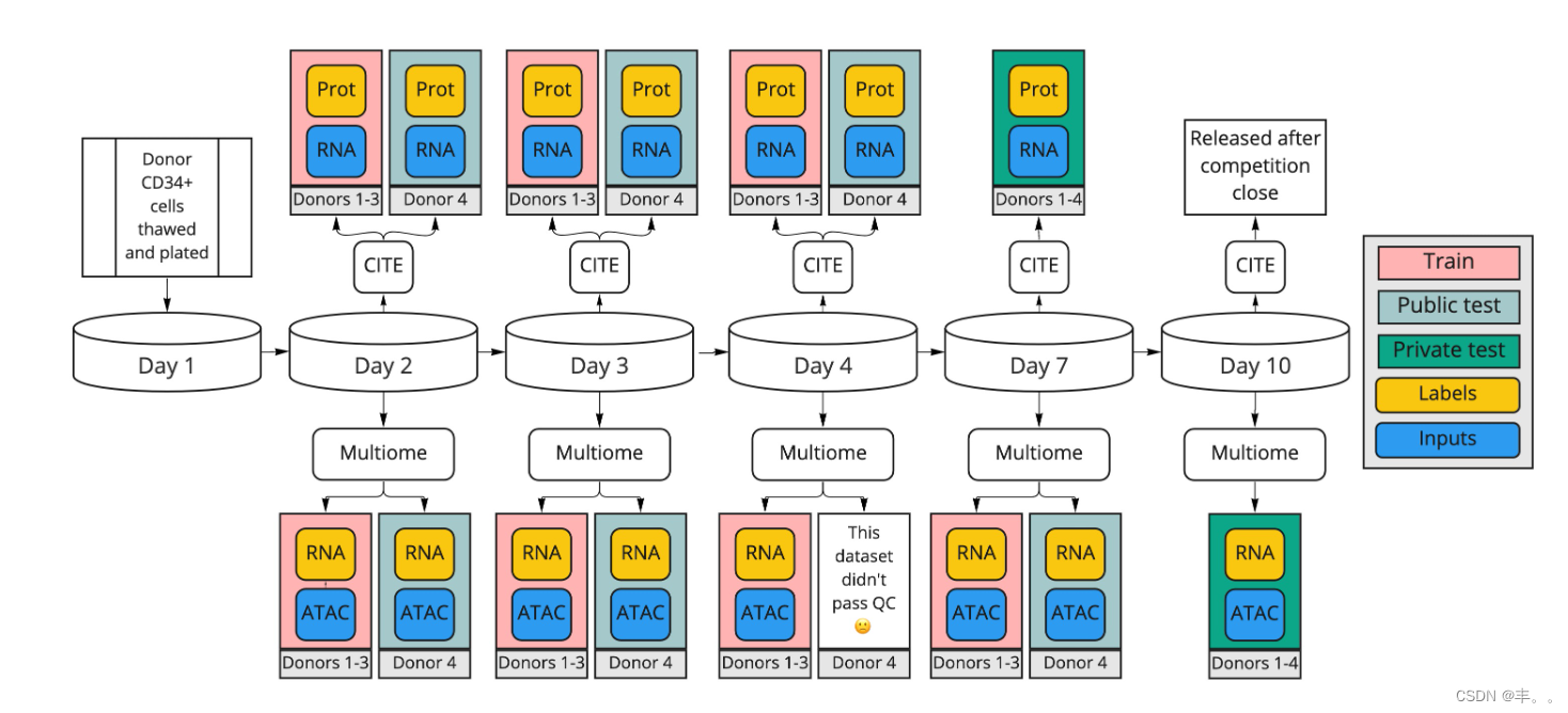 KAGGLE比赛分享-细胞赛(一)_structural defects network (sdnet) 2018标注-CSDN博客
