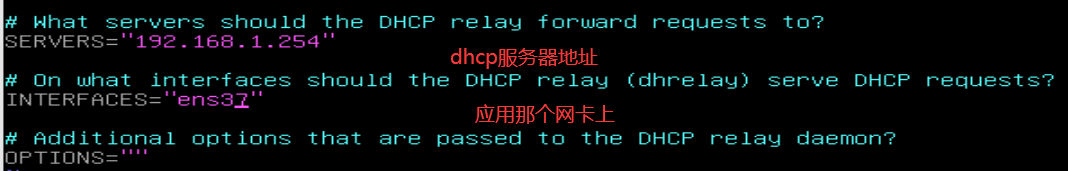 Debian10开启路由转发以及配置dhcp中继_debian10双网卡不路由-CSDN博客