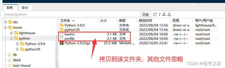 docker运行centos镜像 安装python3.9环境_docker python3.9-CSDN博客