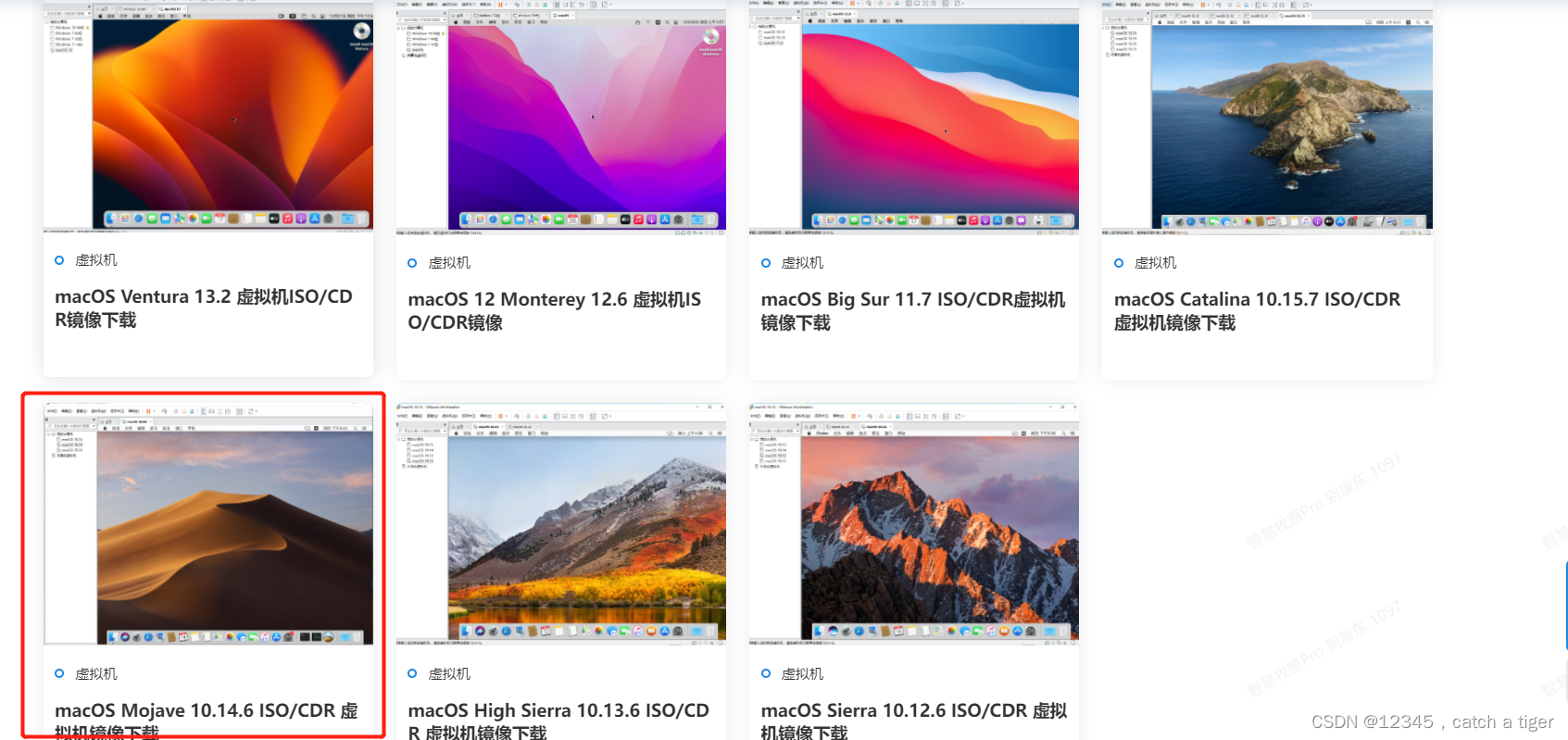 虚拟机之 Macos12系统安装_macos12虚拟机怎么安装-CSDN博客