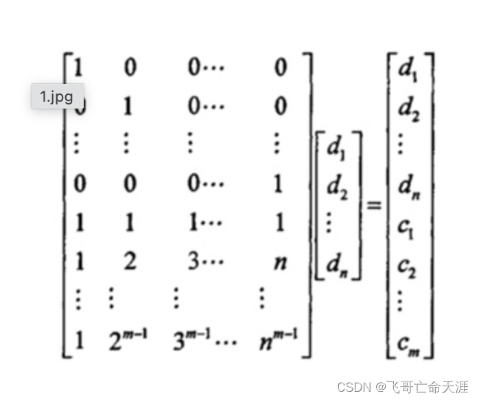 基于柯西矩阵的Erasure Code技术详解_范德蒙和柯西矩阵-CSDN博客