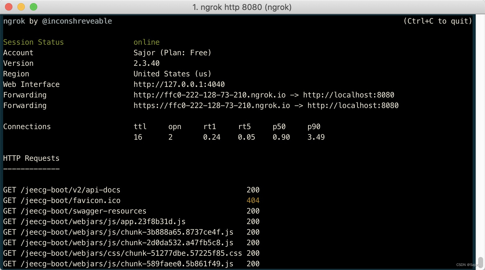 Ngrok 内网穿透神器_ngrok应用代理流量-CSDN博客