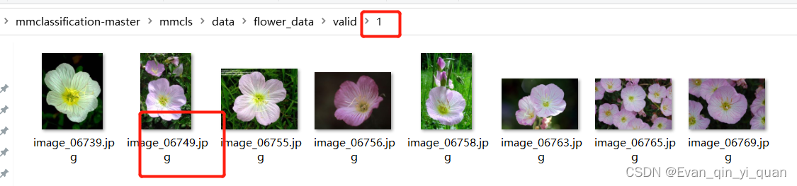 Pytorch实战6—win10使用CPU在mmclassification训练_训练cpu-CSDN博客