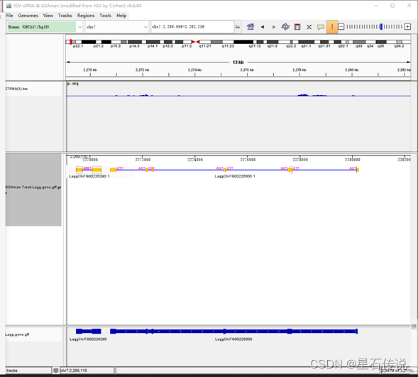 实验篇——了解IGV-GSAman_gsaman 简书-CSDN博客