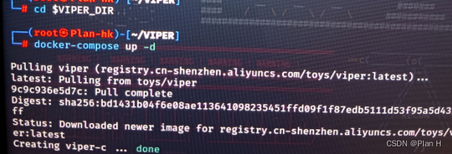 kali安装Viper和docker （本人亲测，一遍就过）-CSDN博客