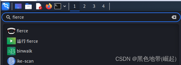 【kali-信息收集】枚举——DNS枚举：DNSenum、fierce_dns枚举工具fierce-CSDN博客