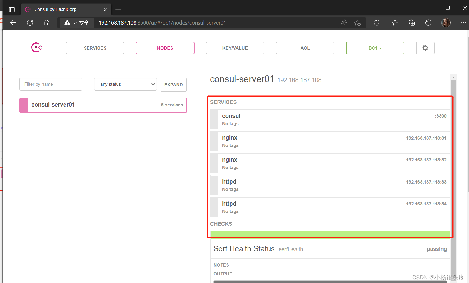 Consul（注册中心）部署_consul部署-CSDN博客