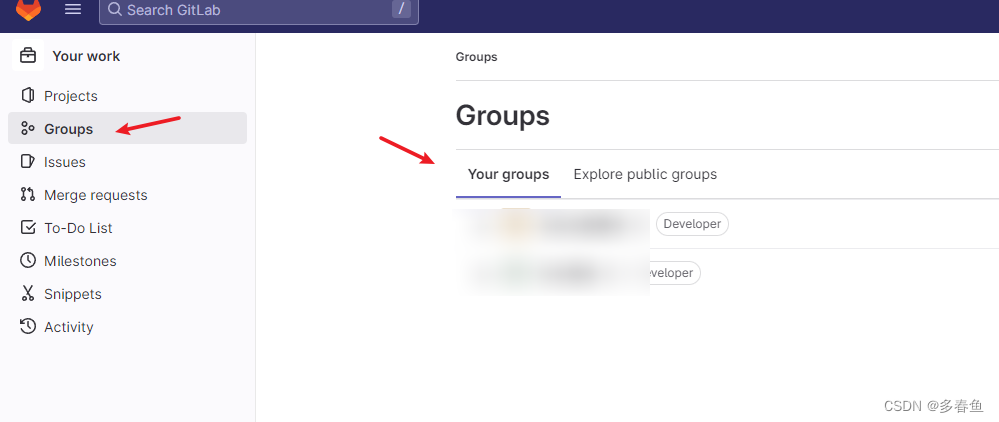 GitLab 获取某个group下所有项目的地址_gitlab项目地址在哪-CSDN博客
