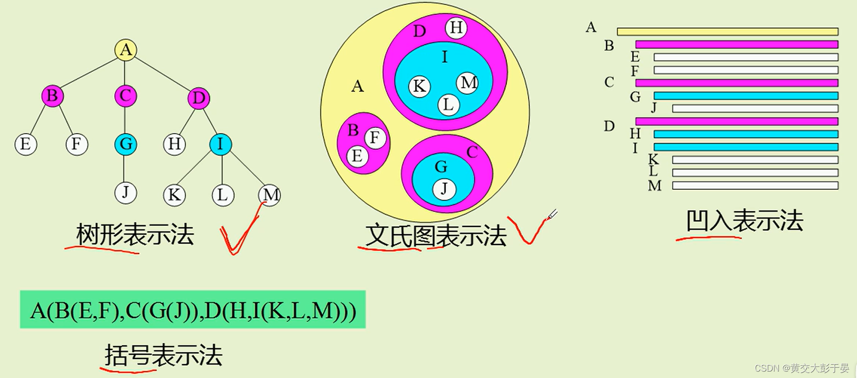 树结构导学-CSDN博客
