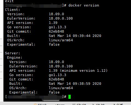 Linux（arm64）Docker安装达梦数据库_达蒙数据库,arm镜像-CSDN博客