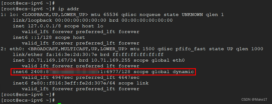 Linux云主机开启IPv6服务_linux ipv6 dns-CSDN博客