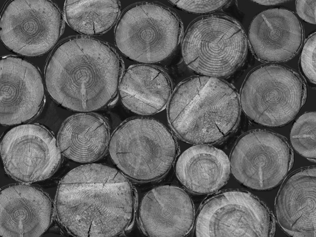 halcon中木材提取_halcon-countobj-CSDN博客