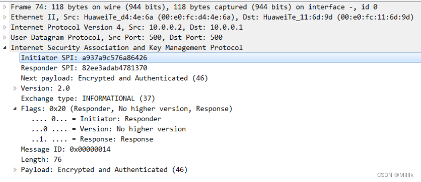 IPsec DPD检测报文_linux ipsec esp报文-CSDN博客