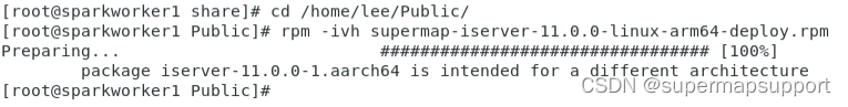 Linux（arm64）环境部署SuperMap iServer_supermap iserver安装-CSDN博客