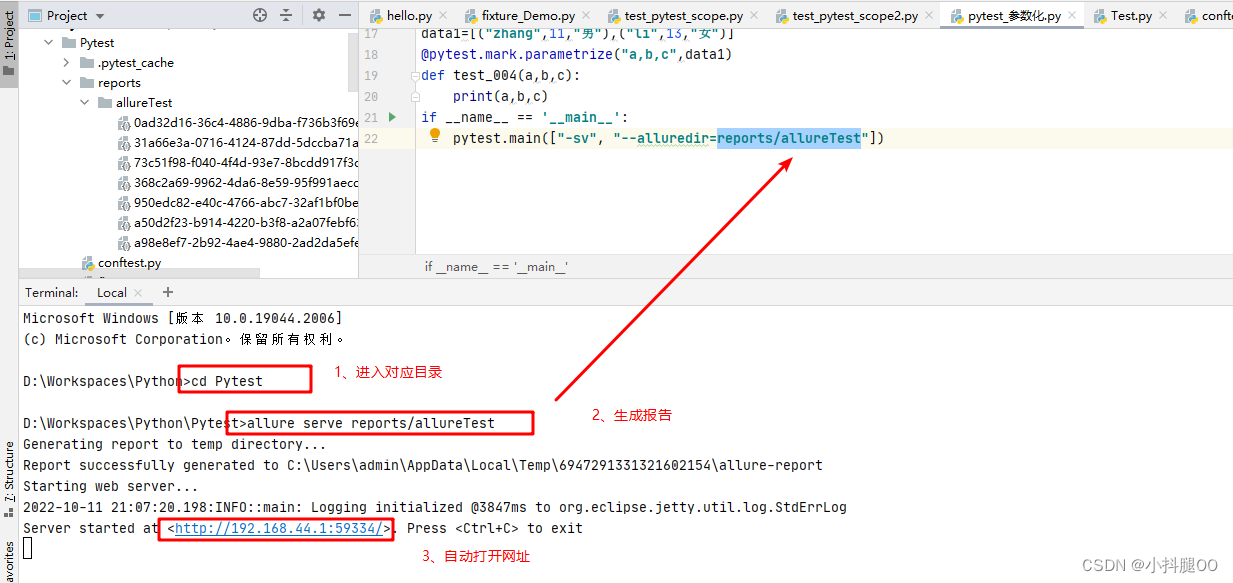 Python集成allure测试报告_python集成测试-CSDN博客